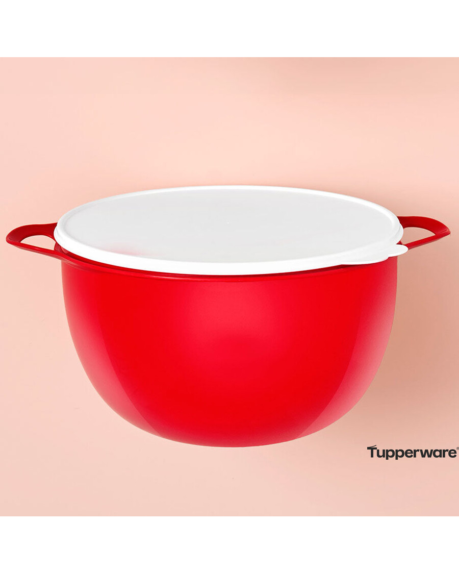 Airtight Food Storage Bowl Tupperware 42 Cup Thatsa Mega Bowl In Orange ...